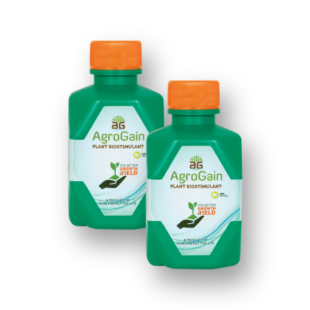 Biostimulants - Agriculture | Solutions - Sea6 Energy